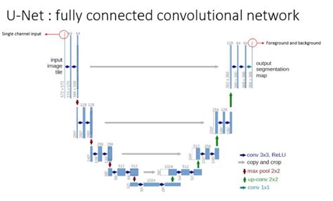 Mariam Moawad On Linkedin The U Net Architecture Is A Popular Convolutional Neural Network Cnn …