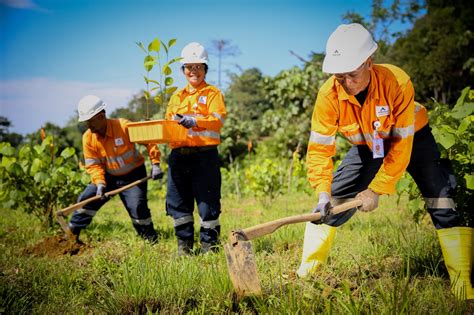 Growing Trees Maintaining Biodiversity Agincourt Resources