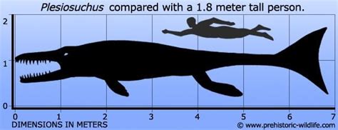 Plesiosuchus Alchetron The Free Social Encyclopedia