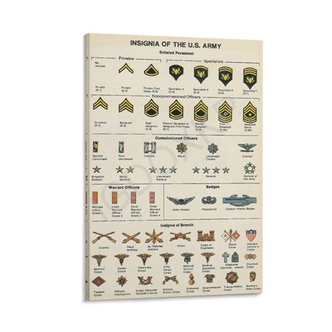 Us Army Rank Insignia Chart United States Army Rank Chart