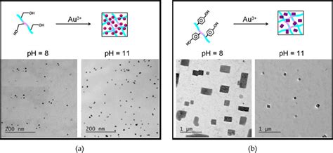 Self Assembling Fmoc Dipeptides Template Gold Nps With Control Over