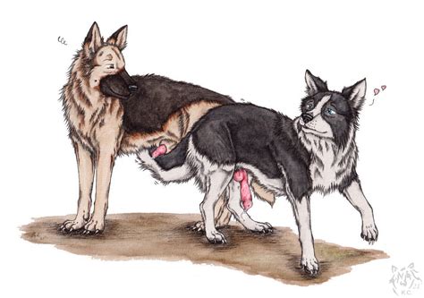 Rule 34 2021 Animal Genitalia Animal Penis Bodily Fluids Border