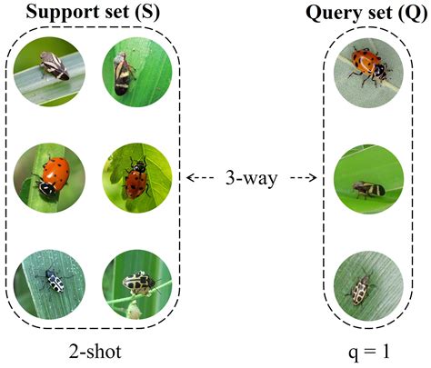 Sensors Free Full Text A Multi Layer Feature Fusion Method For Few