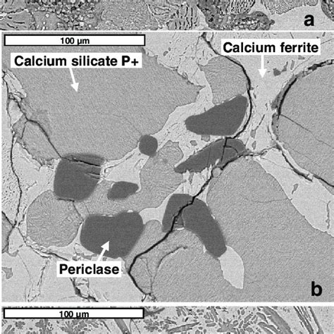 Sem Micrographs Of A Industrially B Slowly And C Rapidly Cooled Download Scientific