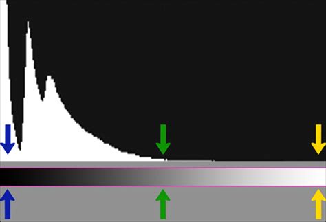 Checking The Histogram To Capture A Perfect Exposure