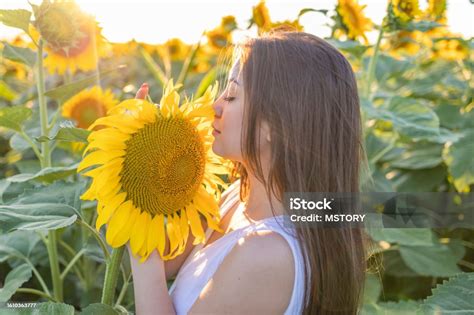 긴 갈색 머리를 가진 소녀는 여름에 해바라기 밭에서 해바라기 냄새를 즐깁니다 Sable Color에 대한 스톡 사진 및 기타 이미지 Sable Color 귀여운