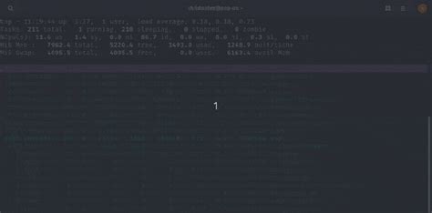 Using The Top Command As Task Manager In Linux