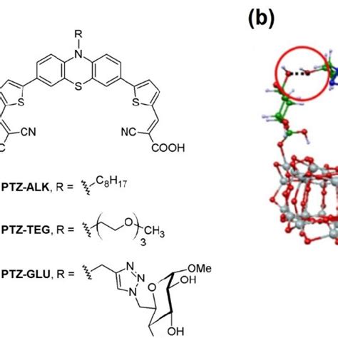 A Structures Of Phenothiazine Based Photosensitizers And Glua Download Scientific Diagram