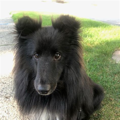 Akedolr9s6nxrkuzrurprurh55omsceoqivels1fohdbw4m S900 C K C0x00ffffff No Rj