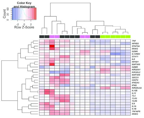 gene expression profiles through an unsupervised hierarchical