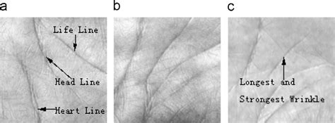 Figure 1 From Palmprint Verification Based On Principal Lines Semantic Scholar