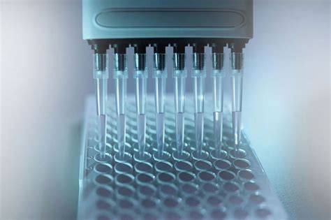Complement System Solutions Functional And Biomarker Assays