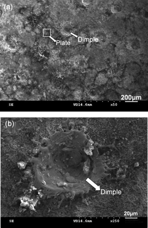 Sem Morphology Of Surface Of Texturing Molybdenizing Duplextreated Download Scientific Diagram