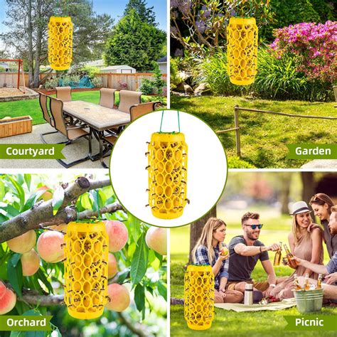 Sticky Fly Traps Outdoor Hangingfruit Fly Traps For Indoorswasp Trap