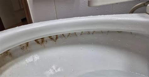 청소후 청소가 안되 요청했더니 다시해주셨어요 바쁘신데 감사합니다 숨고 숨은고수