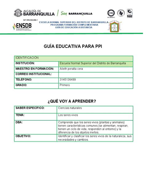guÍa educativa ppi propuesta plantilla pfc ensdb pdf