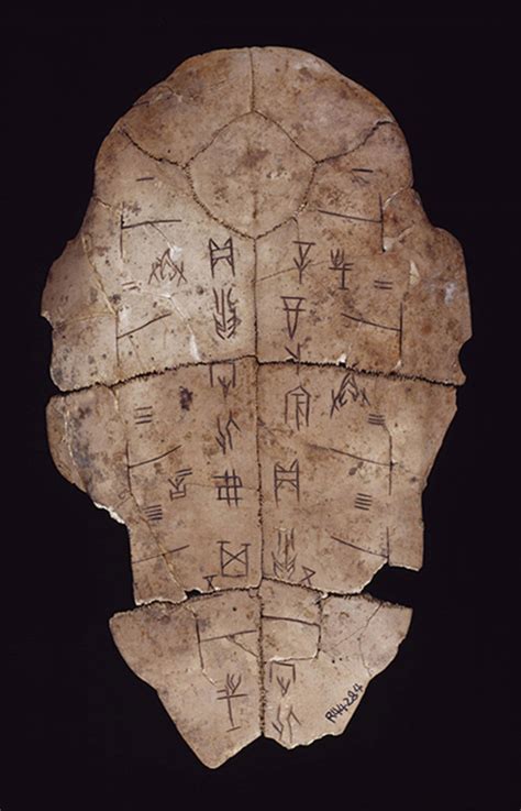 甲骨文 金甲骨文 骨刻文 大山谷图库
