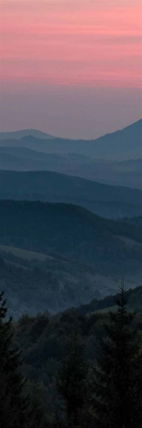 Everanod® Fashion Trend Everlight Colorants Everlight Colorants