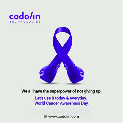 Portfolio Codolin Technologies