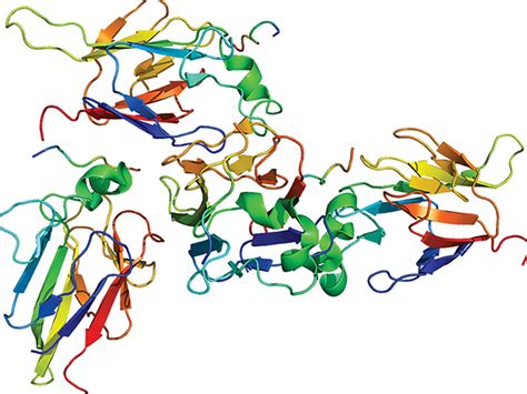 Genetic Disorder Reference Sheet Chek2 Gene Pathogenic Variants