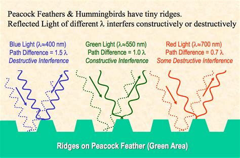 Destructive Interference Of Light