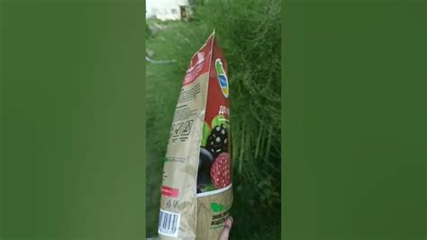 Эффективное удобрение для клубники Youtube