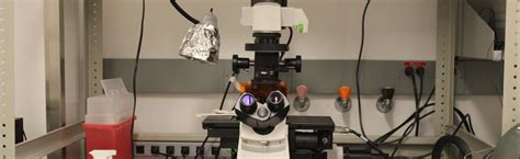 biomedical visualization laboratory department of ophthalmology