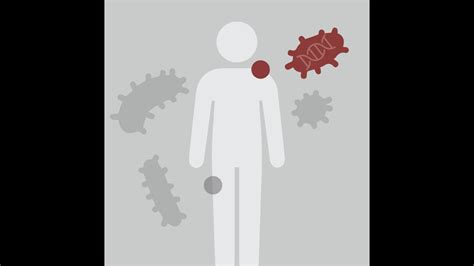 Beginner Microbiome Analysis 2024 04 Functional Prediction And