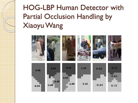Occlusion Detector At Clifford Bloss Blog