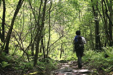 전쟁이 난 줄도 몰랐다는 오지마을 연가리골