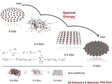 Manlio De Domenicos Homepage