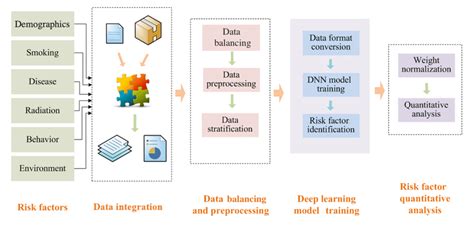 Schematic Diagram Of Lung Cancer Risk Factor Identification In The