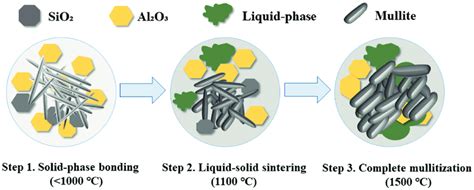 The Model Of Reaction Sintering Process Of Composite Ceramics Download Scientific Diagram