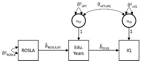 Note That All Nonnumeric Parameters In This Figure Are Model Estimates