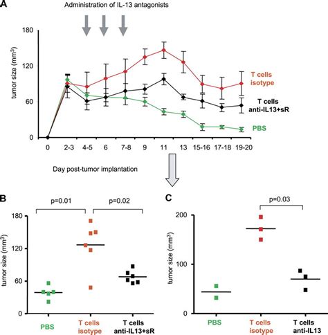 Cd4⁺ T Cells Promote Tumor Development Via Il 13 100 μl Pbs Or 10 ×