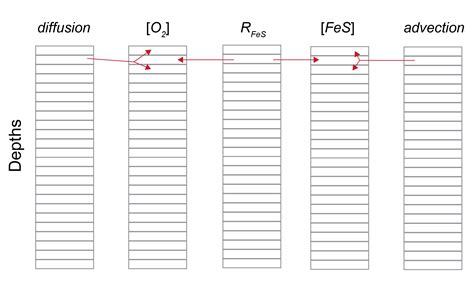 14 Sediment Biogeochemistry The Aed Manual