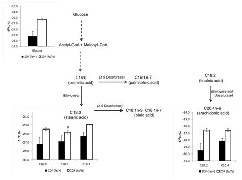 Schematic Representation Of The Variation Of Carbon Isotopic Abundance