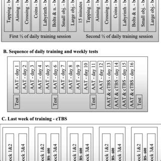 Sequence Of Experimental Events A Structure Of Arm Ability Training Download Scientific