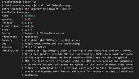 How To Install A Local Dns Resolver With Dnsmasq On Rocky Linux