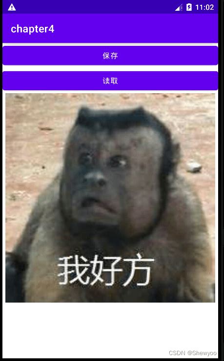 Android存储卡读写文件与application数据保存的实现介绍因特网