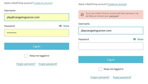 mailchimp validation error mailchimp inspiration forgot password