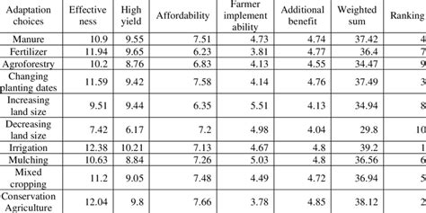 Weighted Scores For The Adaptation Choices Download Scientific Diagram