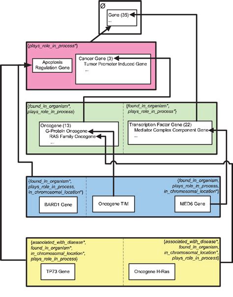 figure 5 from detecting role errors in the gene hierarchy of the nci thesaurus semantic scholar