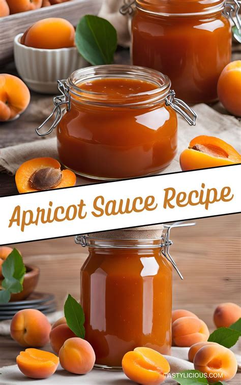 Simple Apricot Sauce Recipe Apricot Recipe Ideas Apricot Syrup