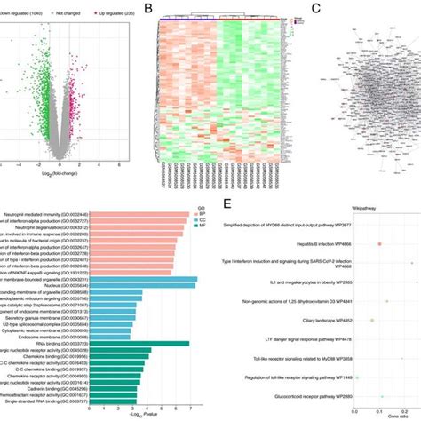 Identification And Bioinformatics Analysis Of Degs A Volcano Plot Of