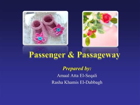 Classification Of Pelvis Pptx