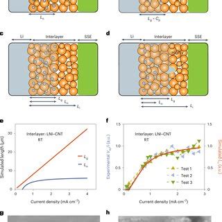 Lithium Anode Interlayer Design For All Solid State Lithium Metal Batteries Request PDF