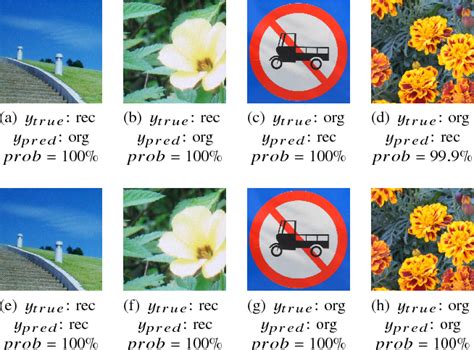 figure 2 from security consideration for deep learning based image