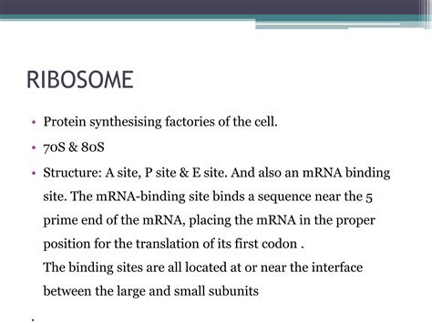 Translation In Prokaryotes Pptx