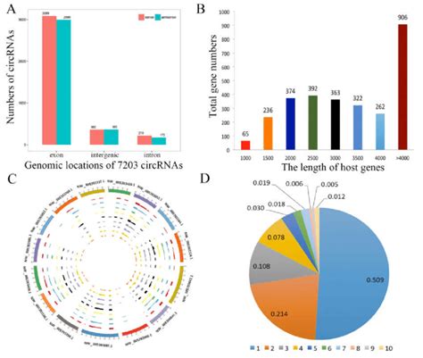 Profiling Of Circrnas During Yak Adipocyte Differentiation A